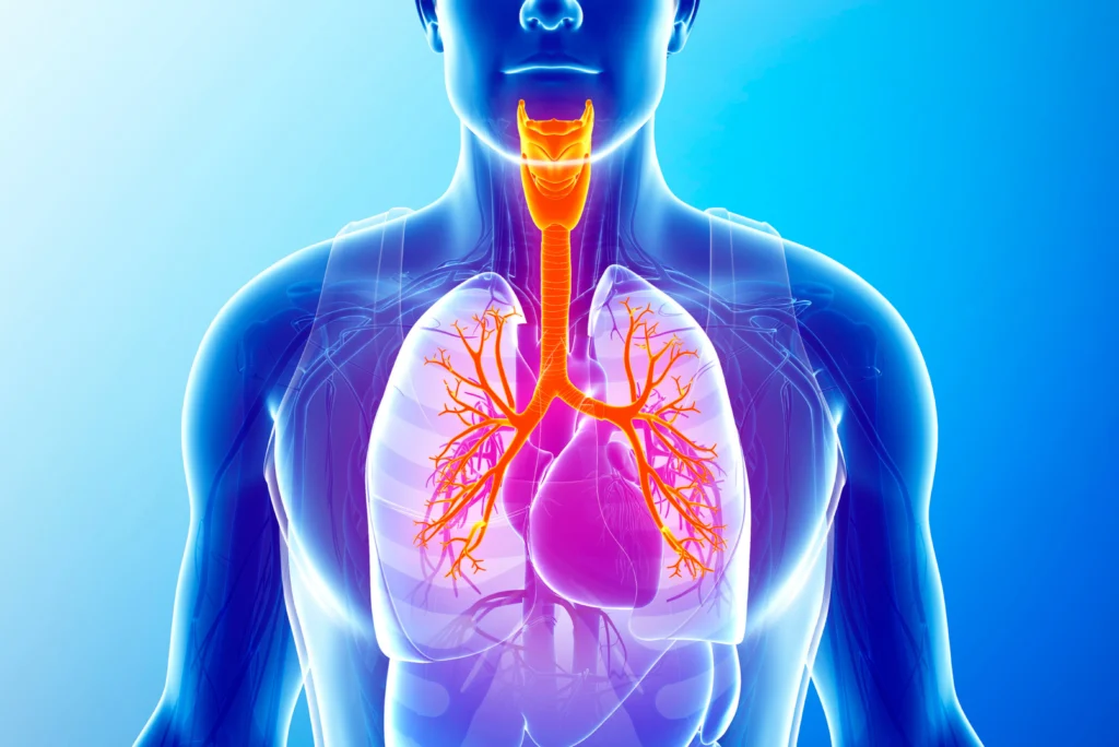 Understanding Thoracic Trauma: Causes, Types & Emergency Care